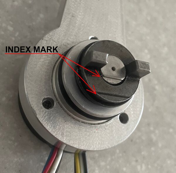 SNAKE MINI DIZZY - SNAKE WIKI